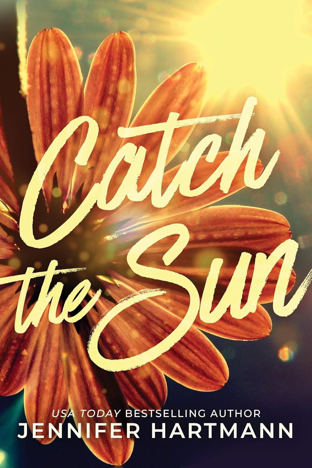 Catch the Sun | Readers Warehouse