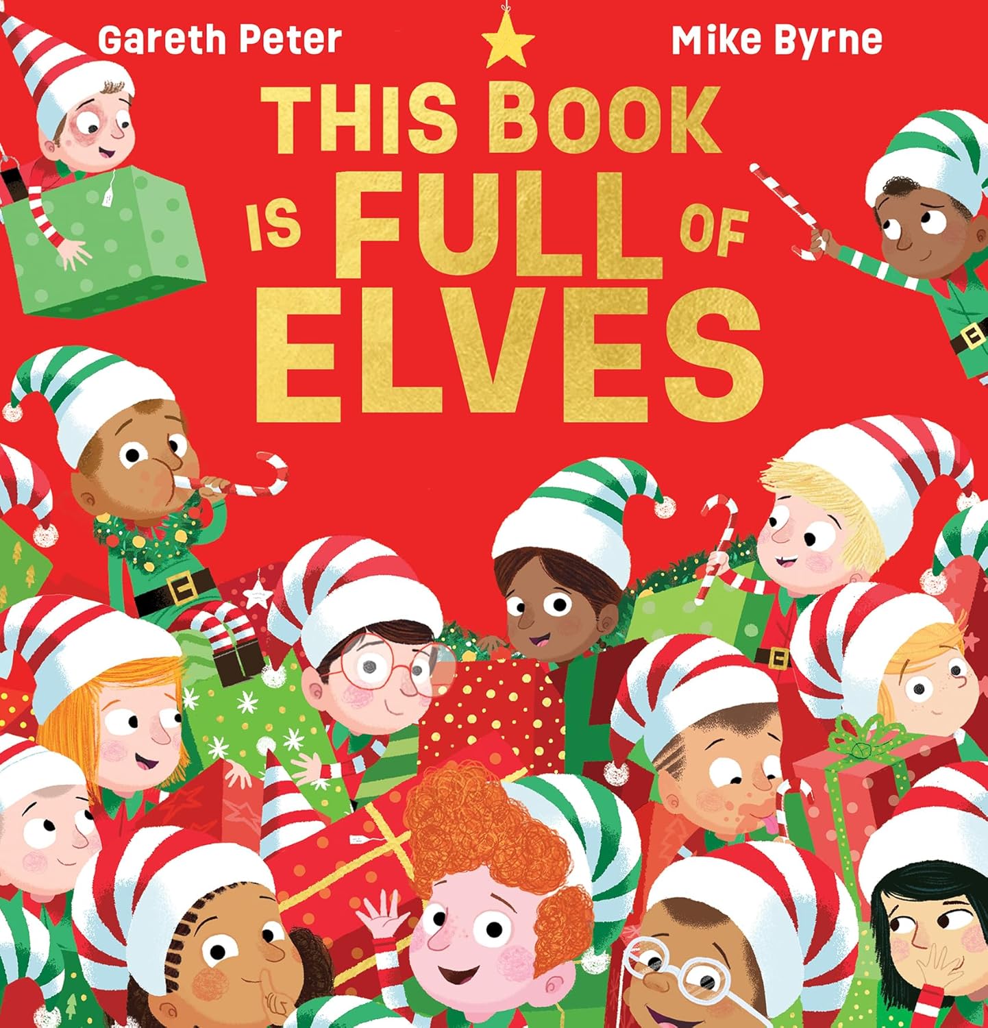 This Book is Full of Elves | Readers Warehouse