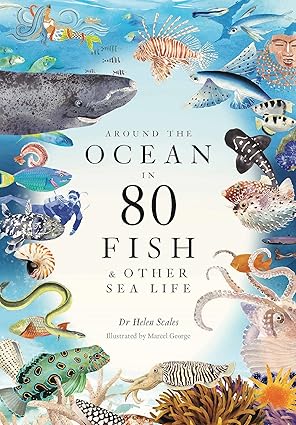 Around the Ocean in 80 Fish and other Sea Life | Readers Warehouse