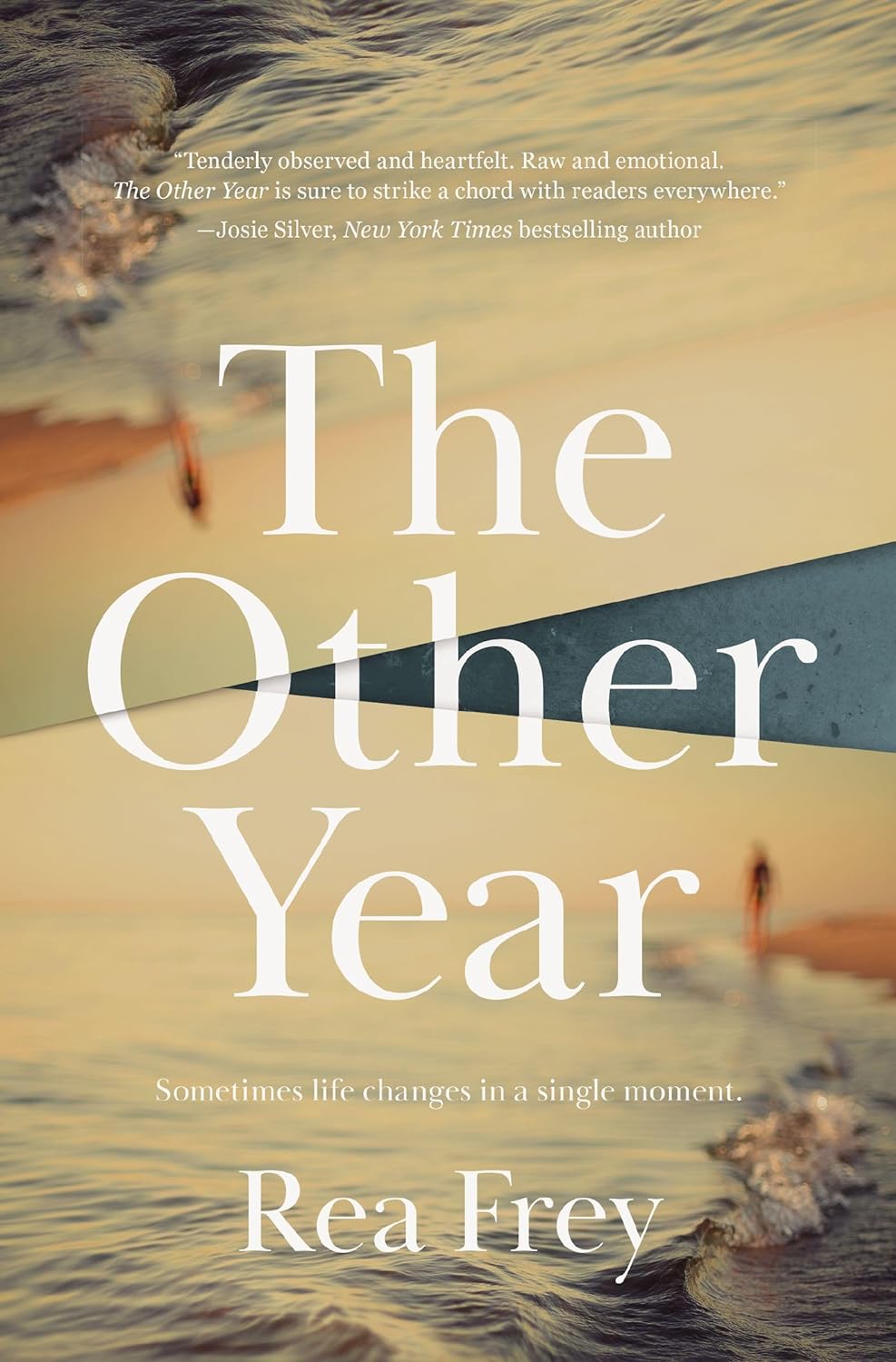 The Other Year by Rea Frey | Readers Warehouse