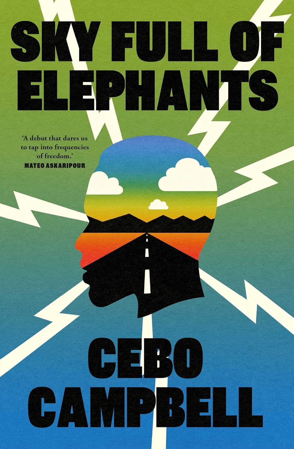 Sky Full of Elephants by Cebo Campbell | Readers Warehouse