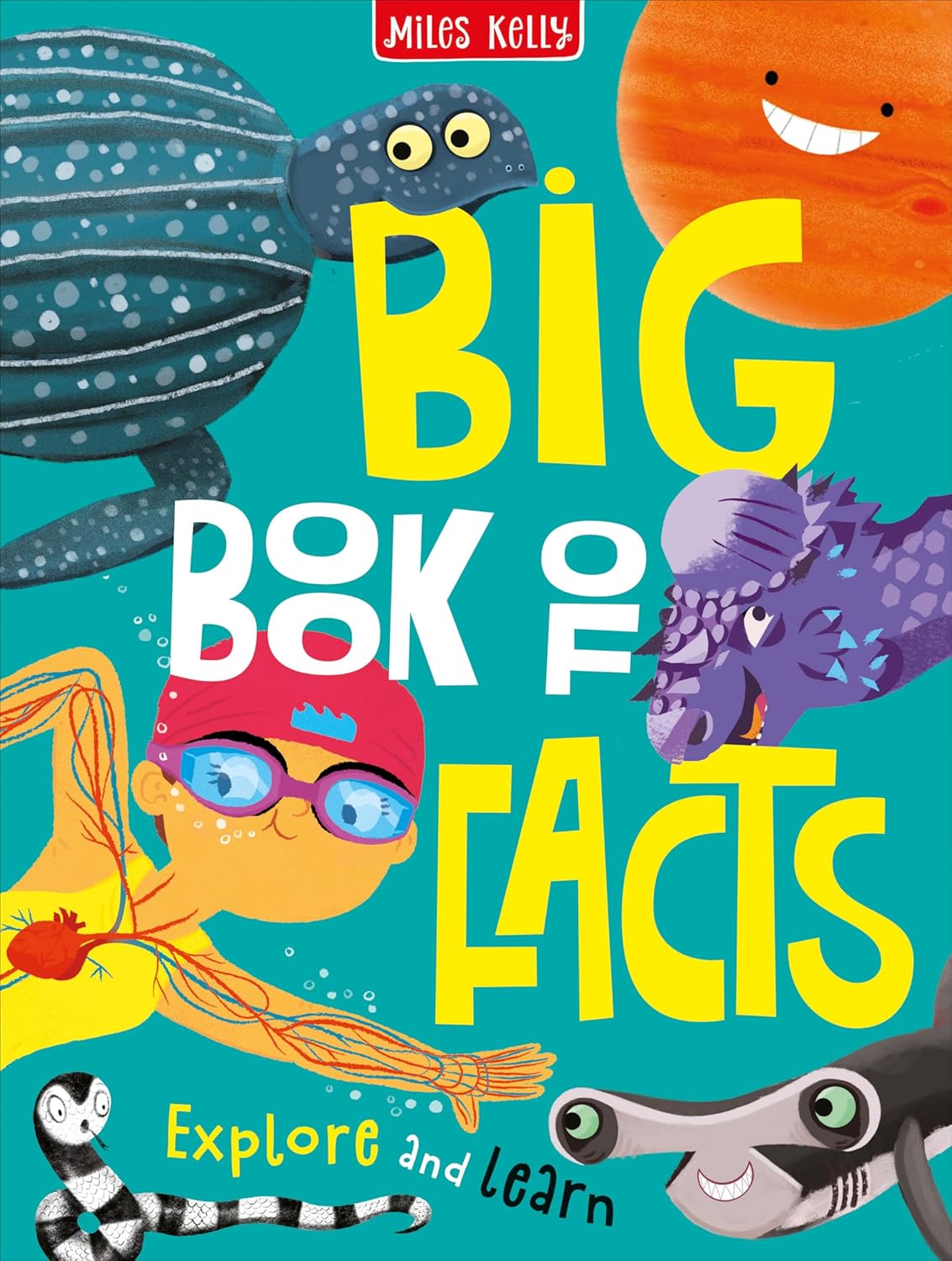 Big Book of Facts | Readers Warehouse